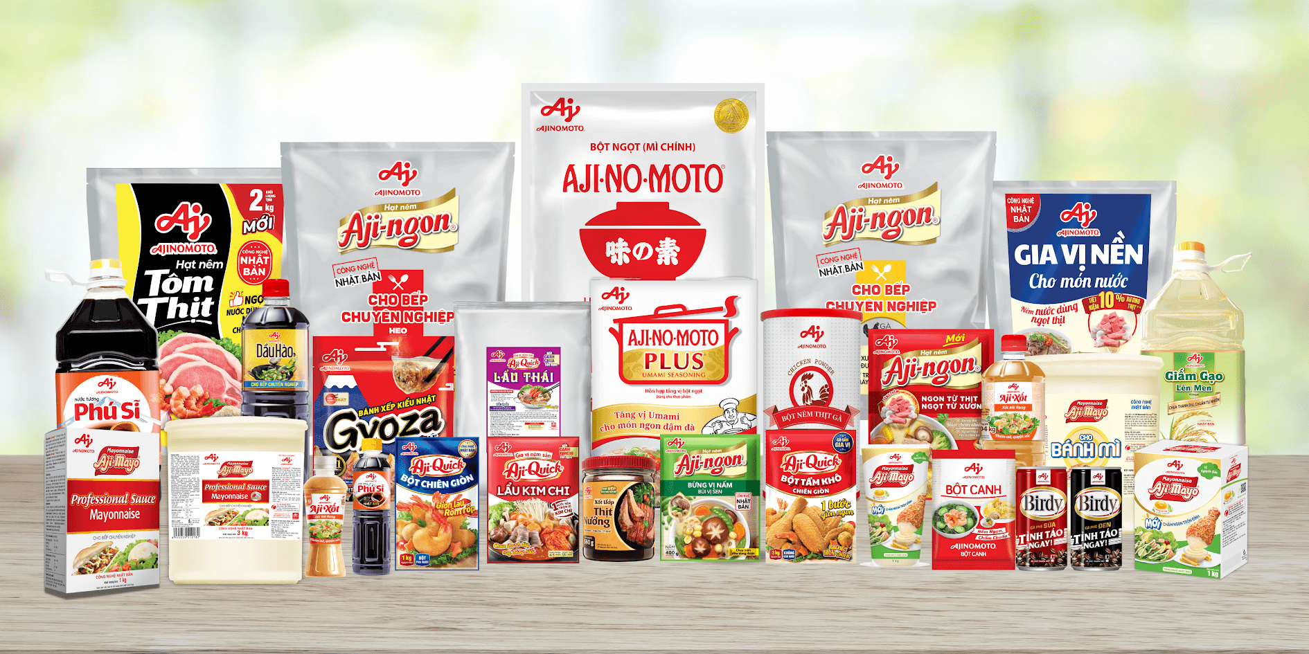 Ajinomoto Food Service - Giải Pháp Dành Cho Bếp Chuyên Nghiệp